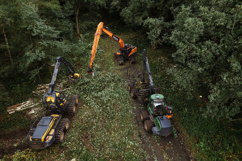 Specialist Tree & Forestry Contractors - Heartwood