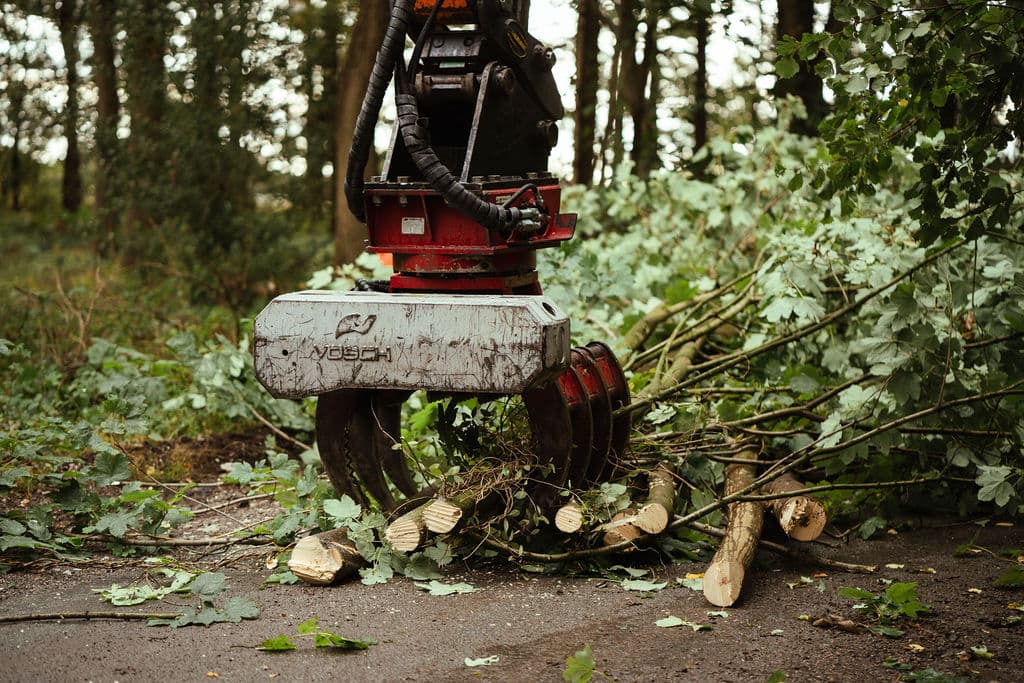 Tree Management Services - Heartwood