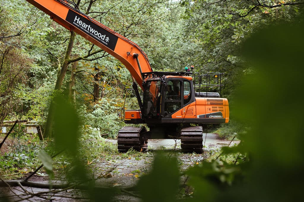 Ash Dieback Management - Heartwood