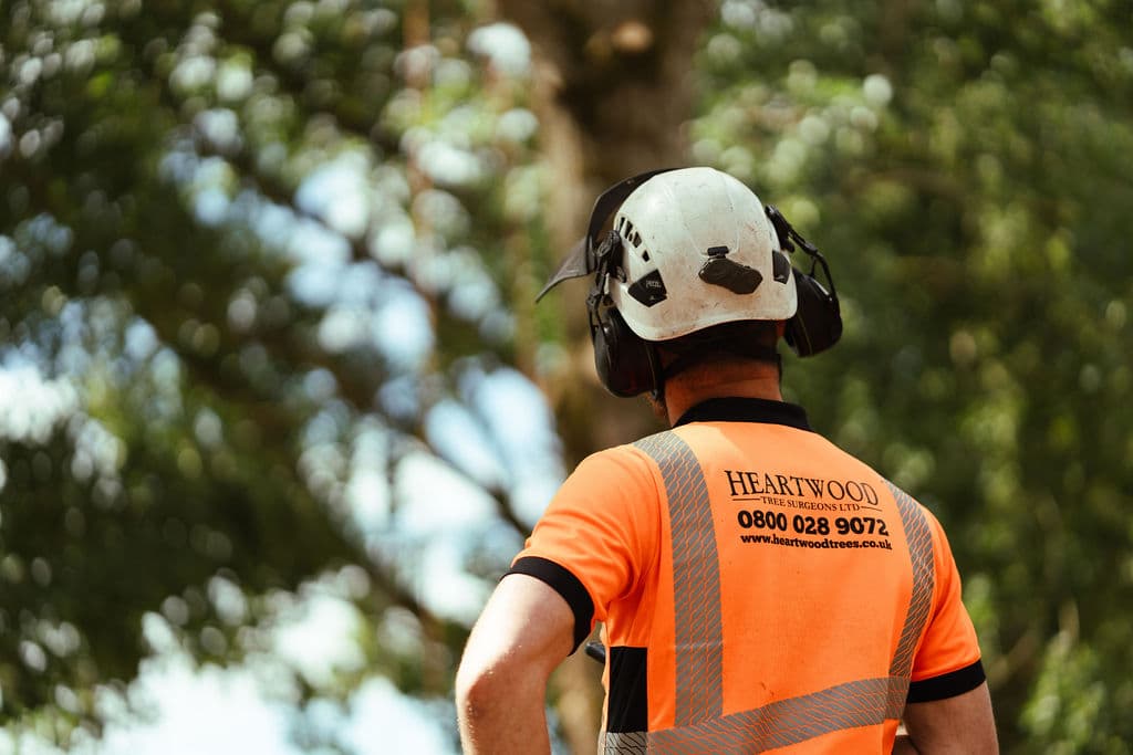 About Heartwood - Specialist Tree Contractors
