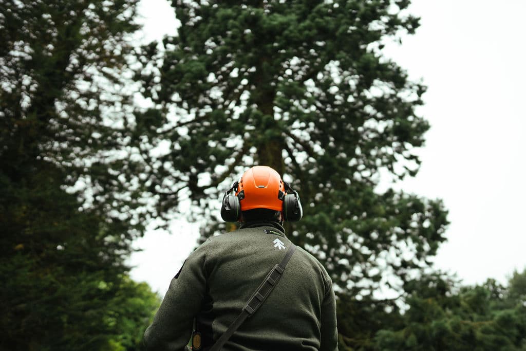 About Heartwood - Specialist Tree Contractors